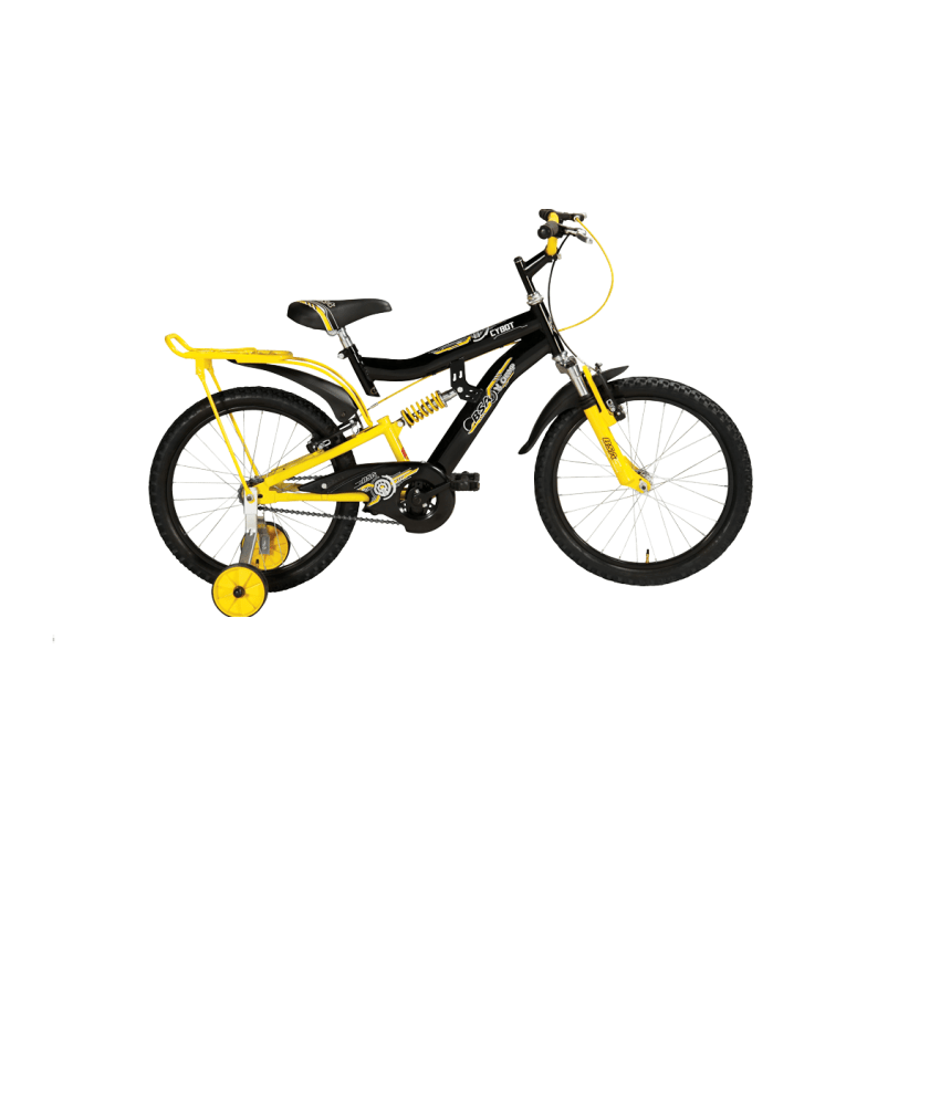 BSA Champ Cybot - Sanrocycles