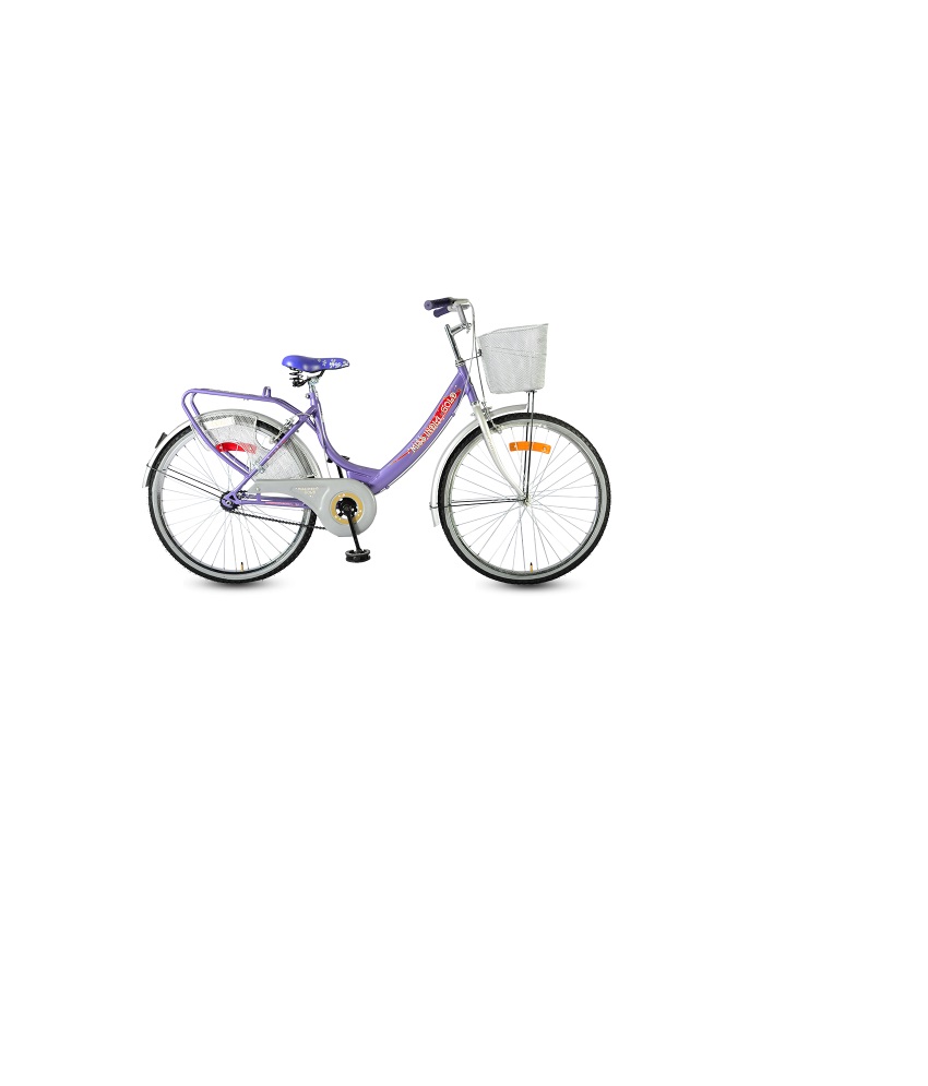 Hero Miss India Gold 24 - Sanrocycles